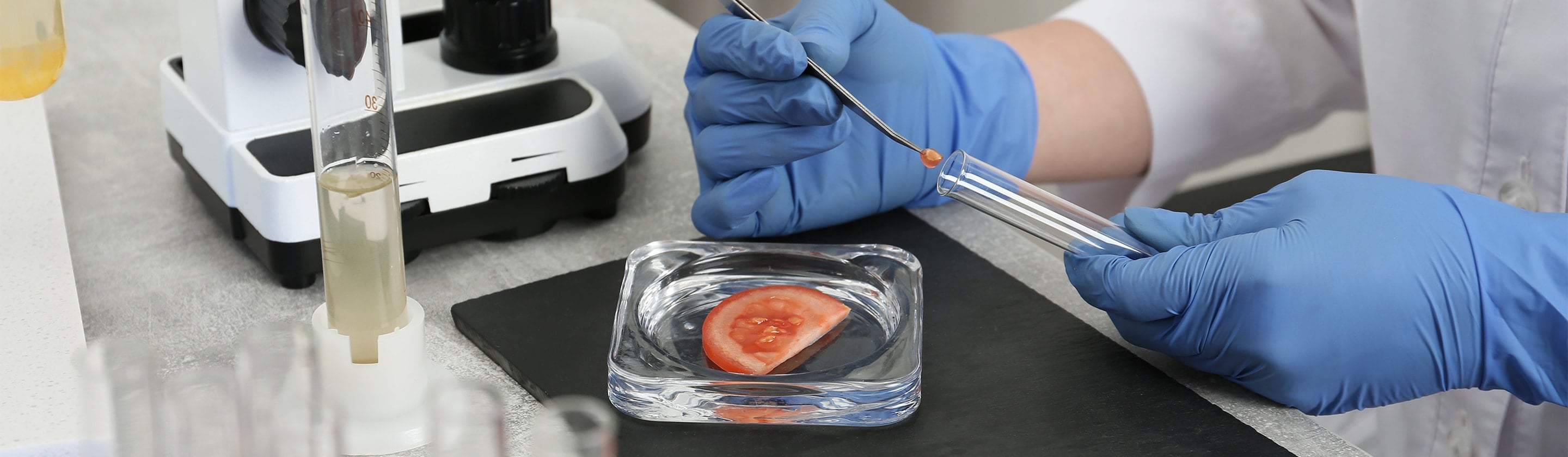 GMO Testing & Analysis - Mérieux NutriSciences