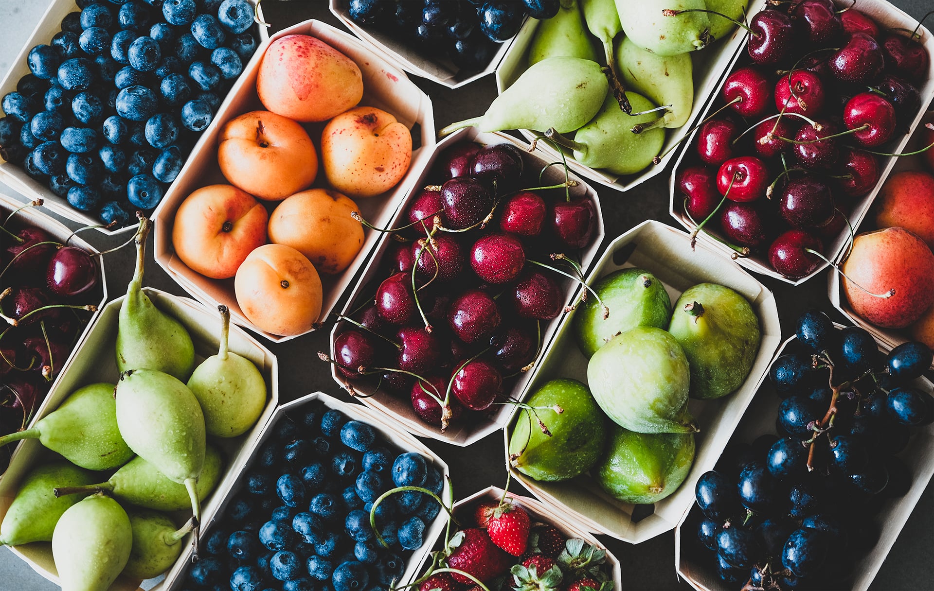Retour sur Fruit Logistica 2025 : qualité et sécurité des fruits ...