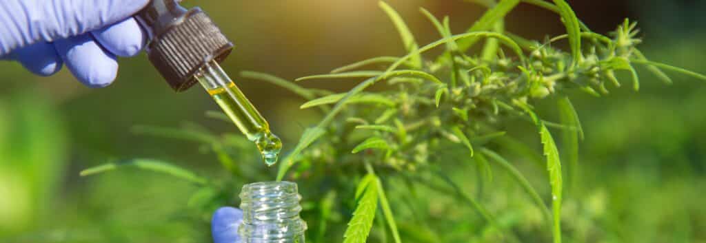 Hemp and Cannabinoid Analysis - Mérieux NutriSciences